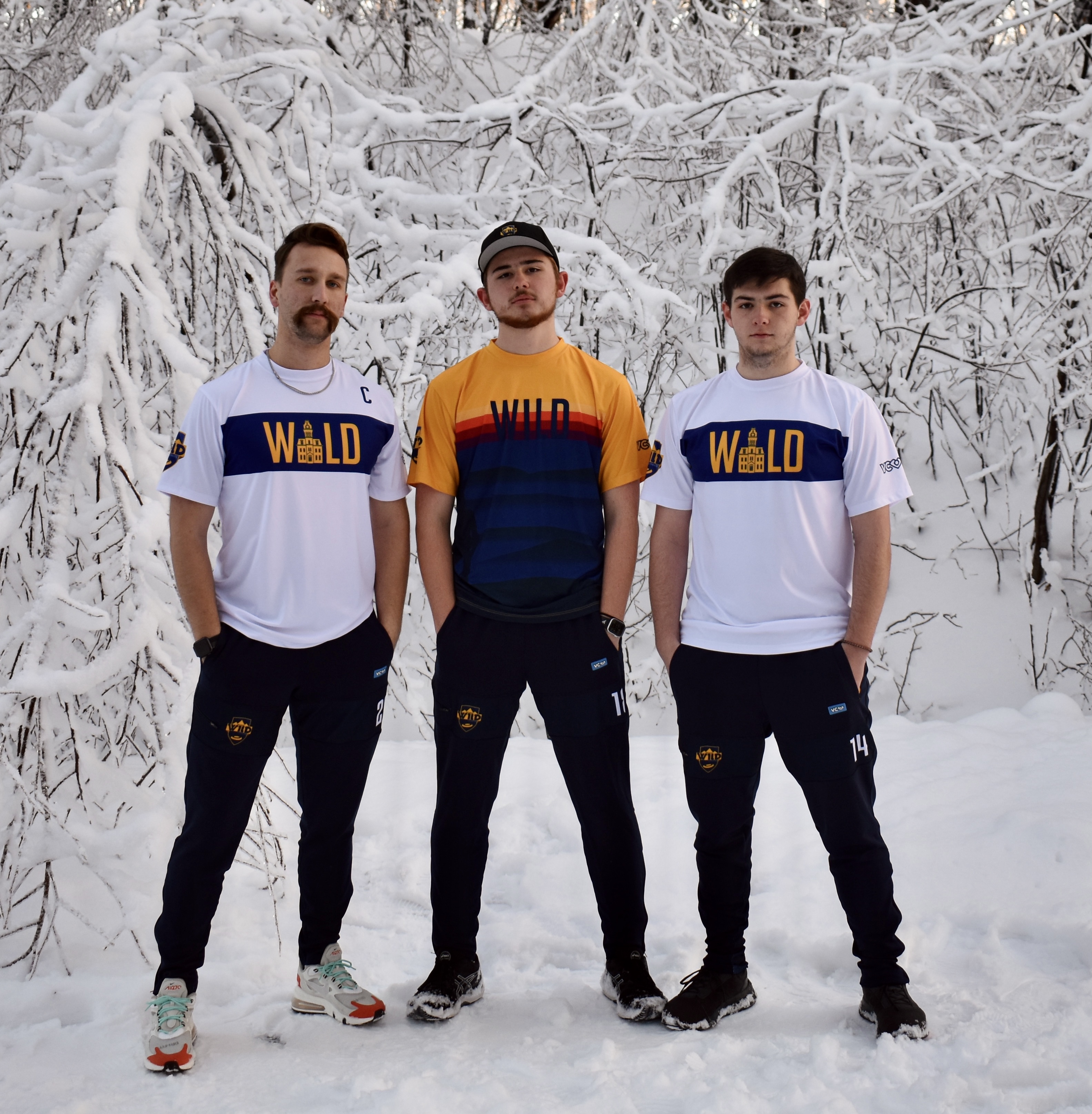 Mark Altman Multi Media